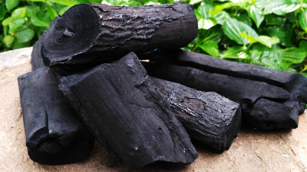 Revitalize Your Garden with a Biochar-Boosting Mixture – DIY Baagh