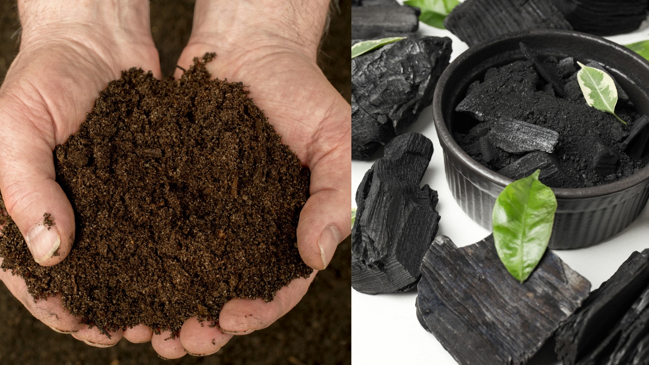 Revitalize Your Garden with a Biochar-Boosting Mixture – DIY Baagh