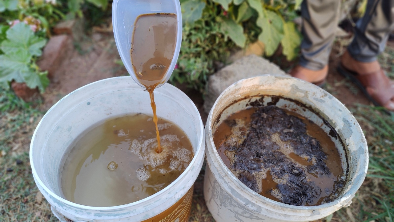 15 Easy Organic Fertilizers Recipes to Make at Home – DIY Baagh