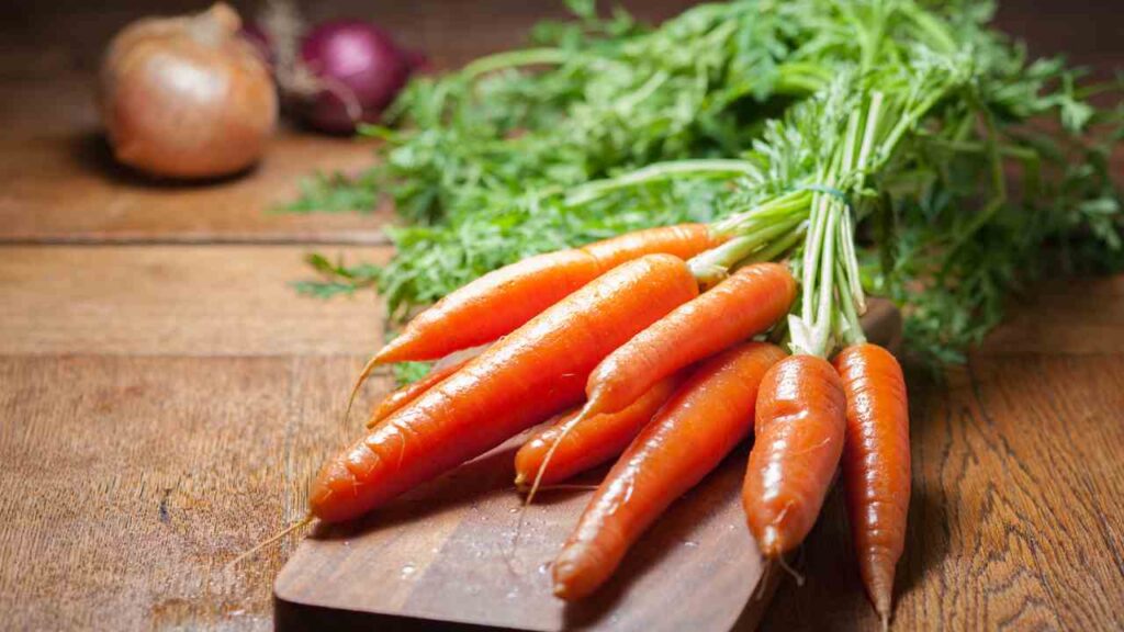 13 TIPS THIS SEASON FOR GREAT CARROTS – DIY Baagh