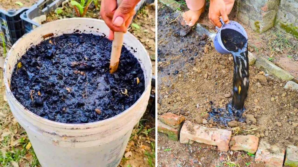 What Is Biochar? How to Make Charcoal at Home to Enrich Garden Soil ...